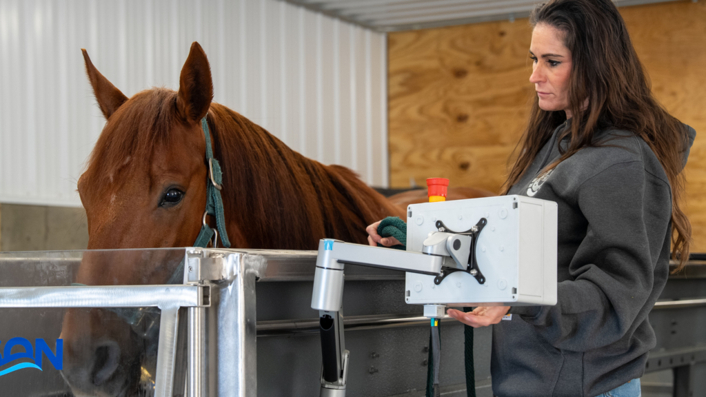 Treadmill Technology - River Ridge Stable